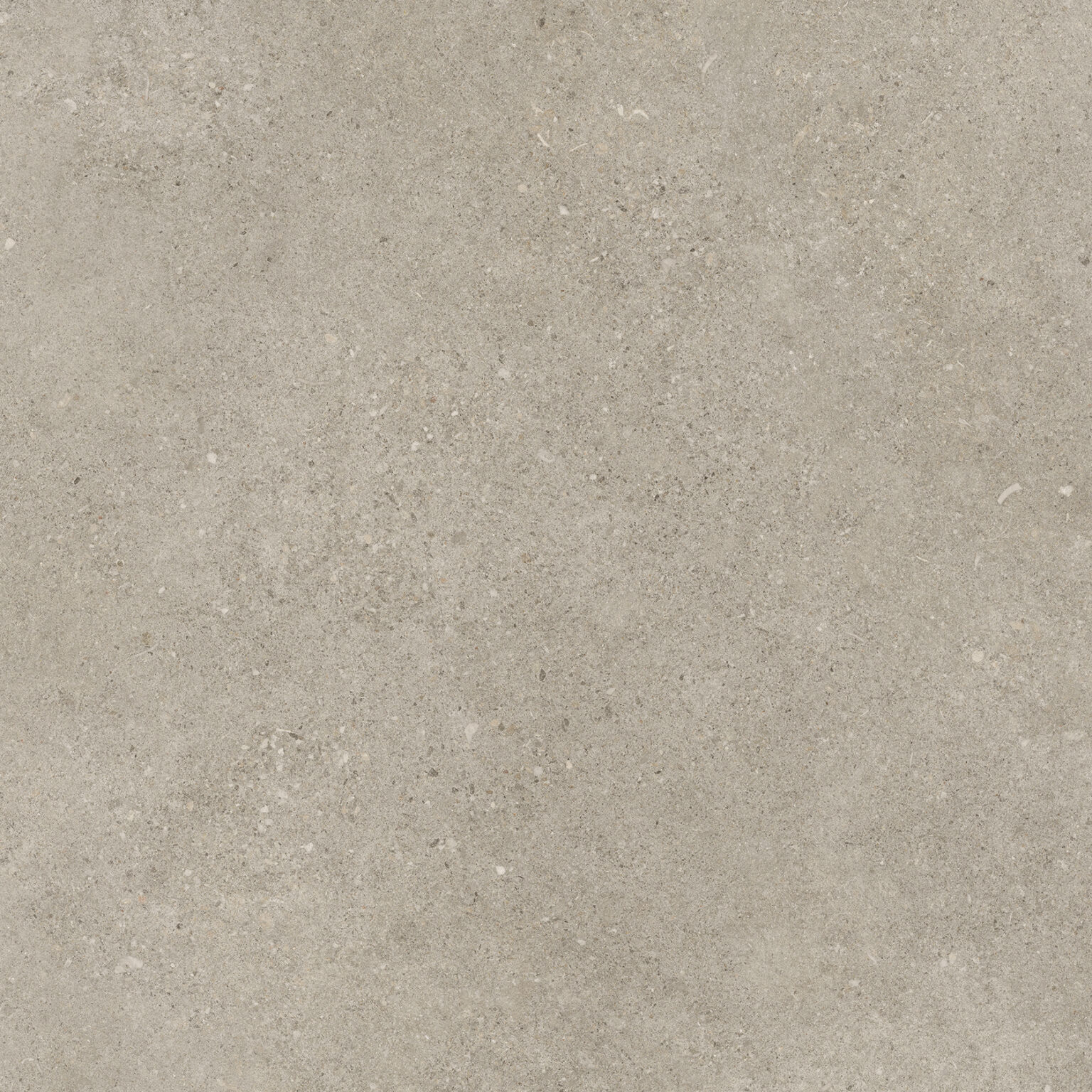 Shellstone Dry - Midleton Tiles