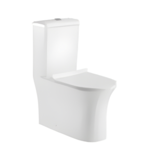 Paris Fully BTW Rimless WC & Wrap Over S/C Seat - Midleton Tiles